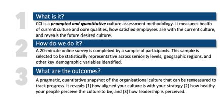 How to use Company Culture Assessment Tools